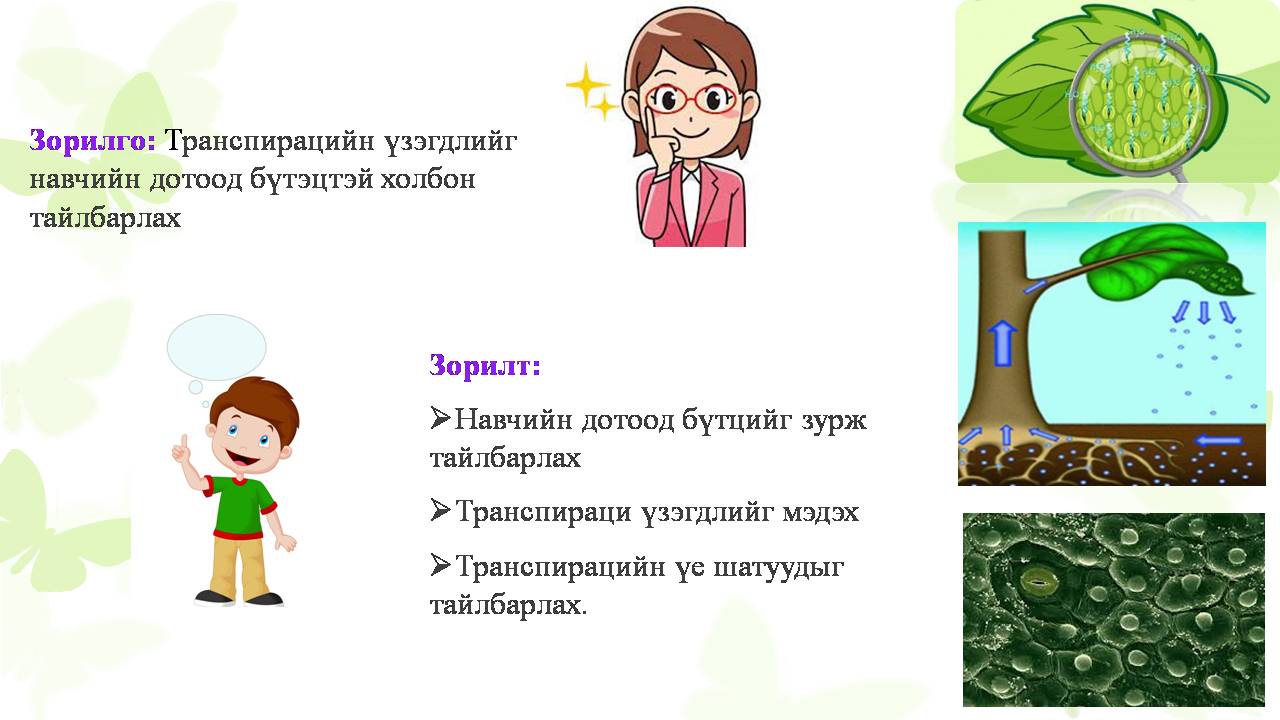 Мэдлээ Цахим контент